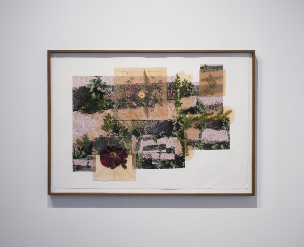 Jil Weinstock | Unwanted Collaborator: Fractured Landscapes - Winston ...